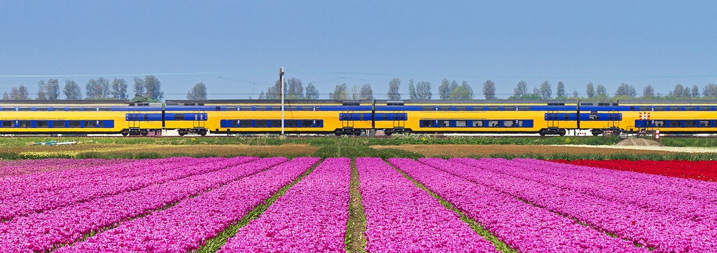 Trains in the Netherlands | Interrail.eu