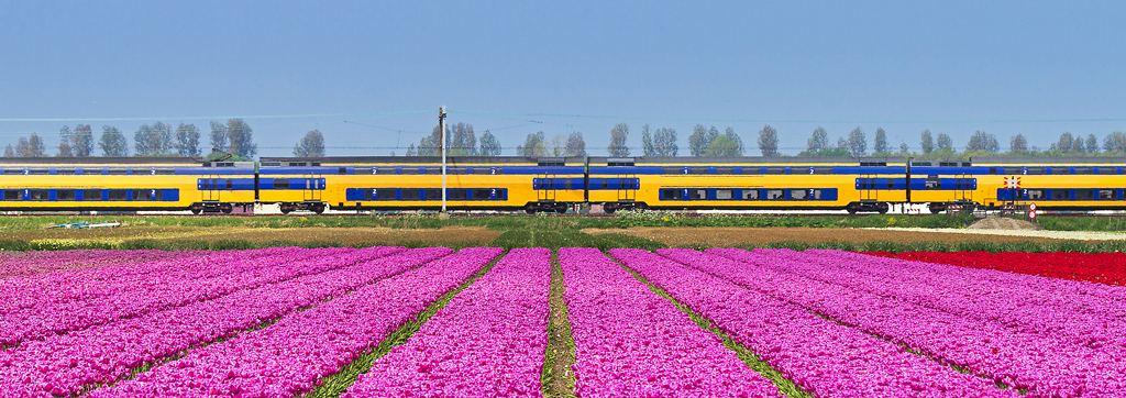 Trains aux Pays-Bas | Interrail.eu